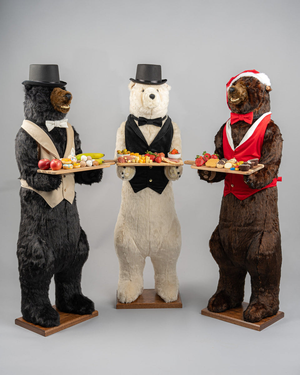 Standing Bear – Ditz Direct