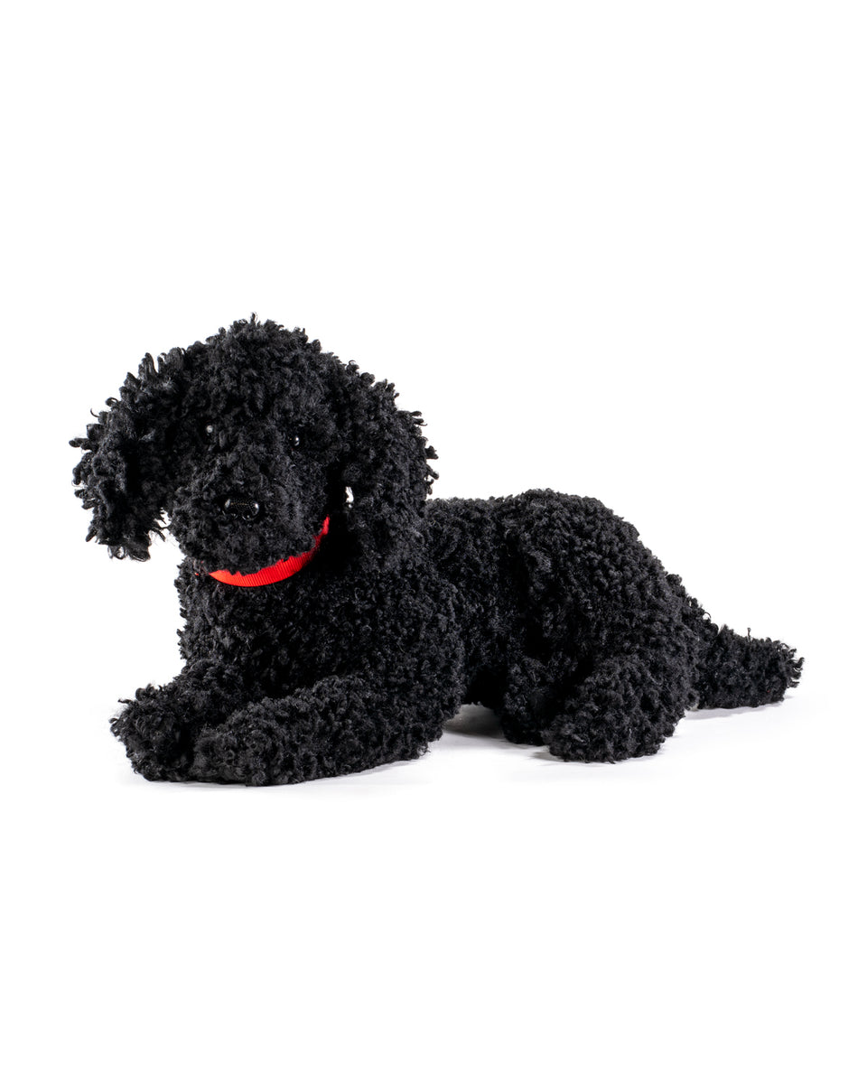 Doodle Best Friend, Black – Ditz Direct